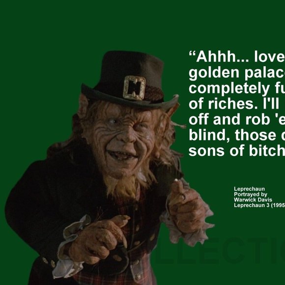 Wall Decor | Leprechaun Ahhh Lovely Golden Palaces Quote Photo 11x14 ...